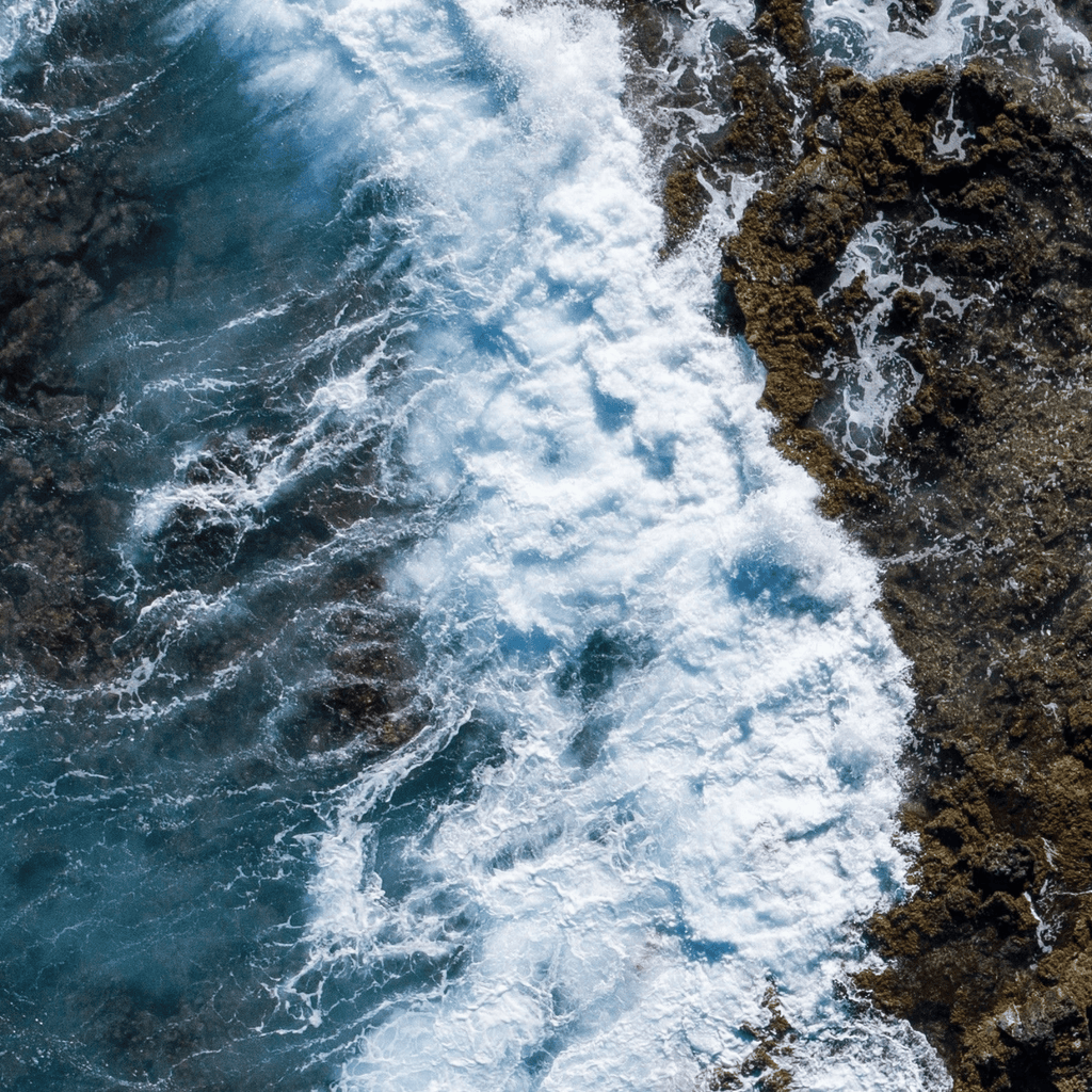 Mana Eau de Parfum – Borough Home